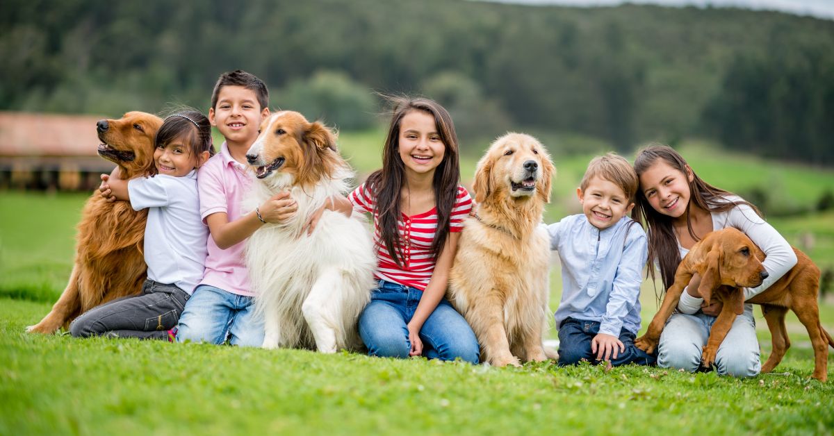 Top 10 Ideal Family Friendly Dogs - Ketotu.Com
